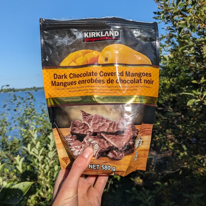 Kirkland Signature Dark Chocolate Covered Mangoes Review | abillion