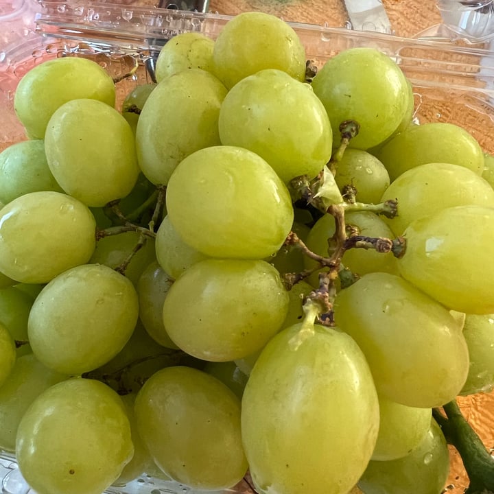 Flavor Grown green seedless table grapes Review | abillion