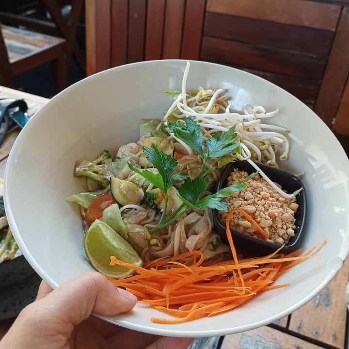 Chaow Praya River Stenstaden, Sweden Pad Thai Review | abillion