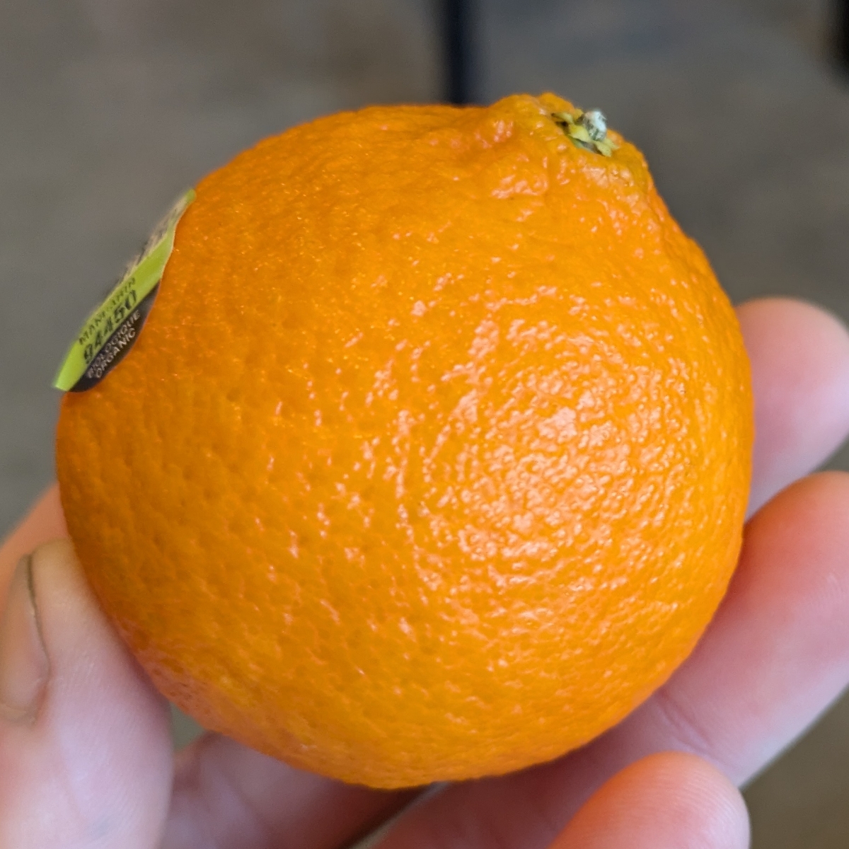 organic page mandarin, from Homegrown Organic Farms - Vegan Product ...