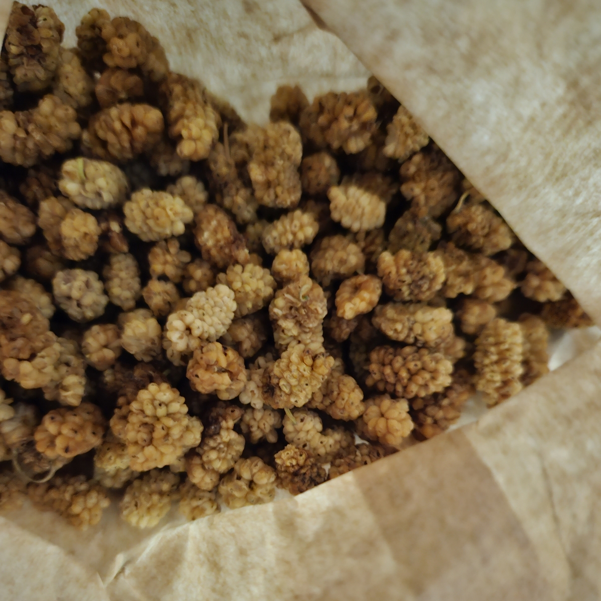 Dried Mulberry from The source bulk food - Vegan Product Reviews ...