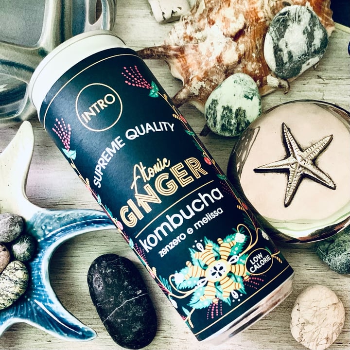 Intro atomic ginger Review | abillion