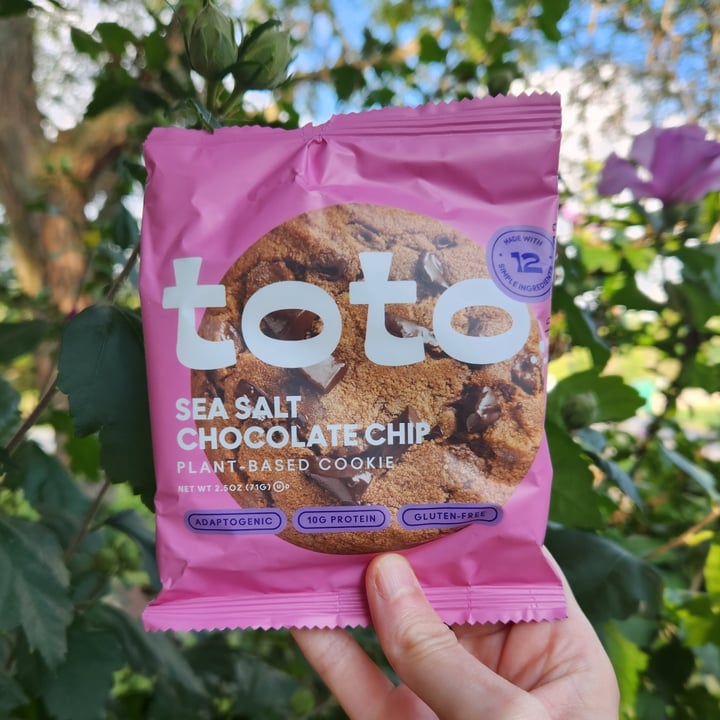 Toto Sea Salt Chocolate Chip Cookie Review | abillion