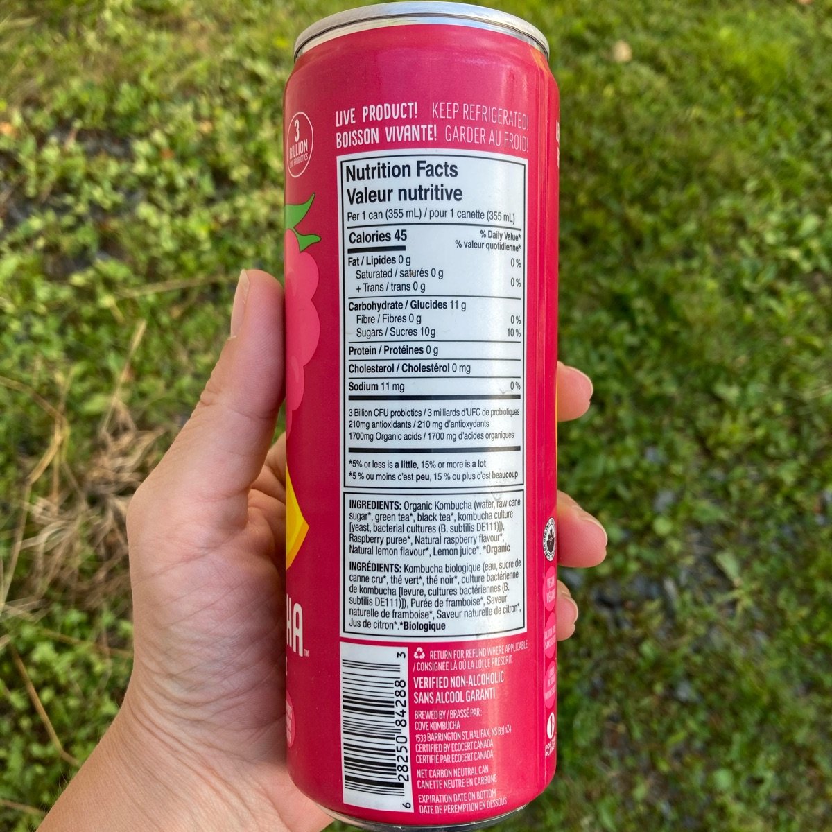 Cove raspberry lemonade kombucha Reviews | abillion