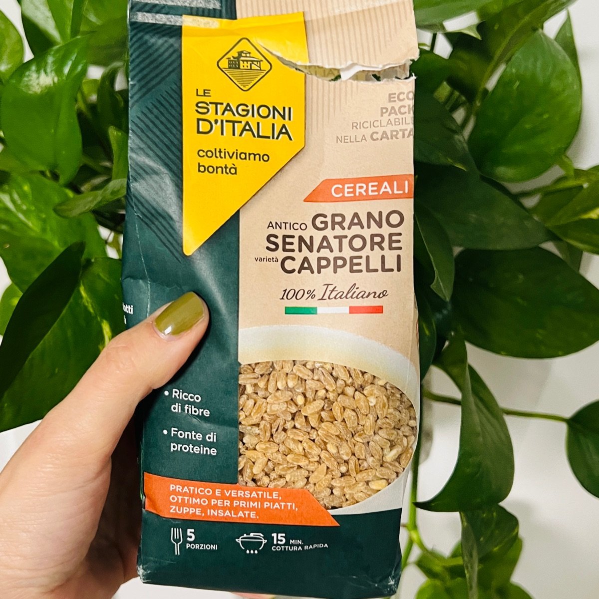 cereali Grano Antico Senatore Cappelli from Le Stagioni d'Italia ...