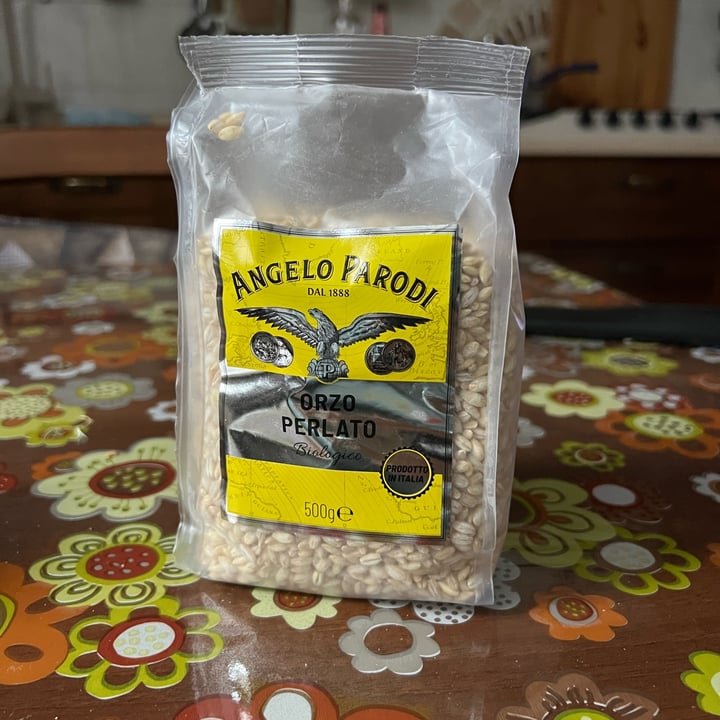 Angelo parodi Reviews | abillion