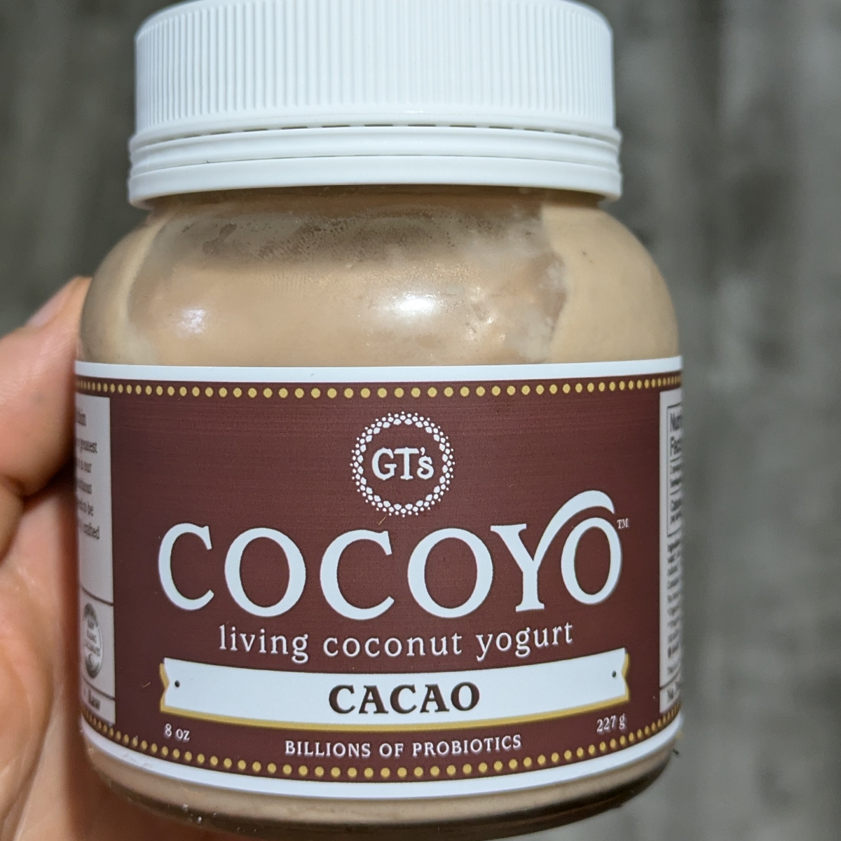 Cocoyo Cacao Living Coconut Yogurt from GT’s Living Foods - Vegan ...