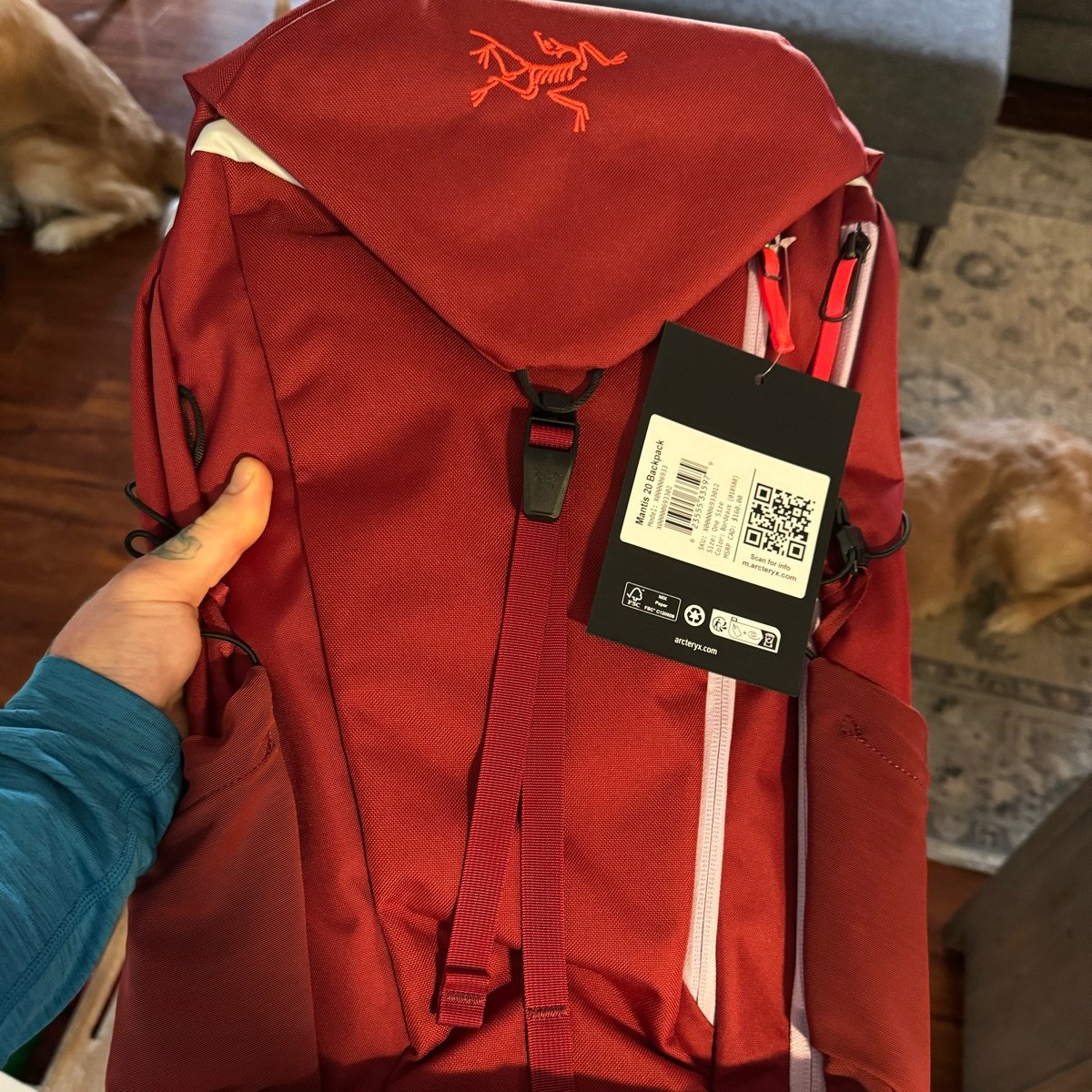 Mantis 20 Backpack from Arc’teryx - Vegan Product Reviews & Ratings ...
