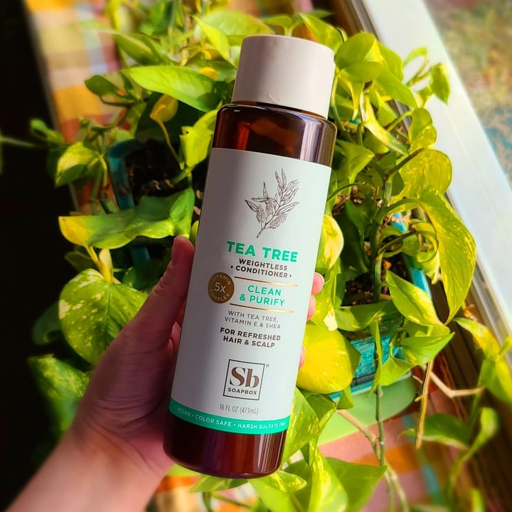 Sb soapbox Tea Tree Clean & Purify Conditioner Review | abillion