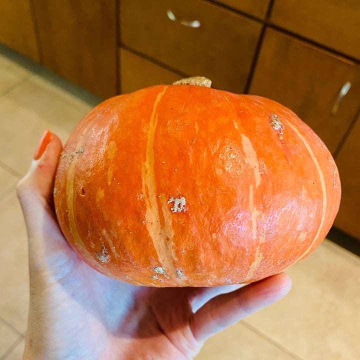 Good Life Organic Red Kuri Squash Review | abillion