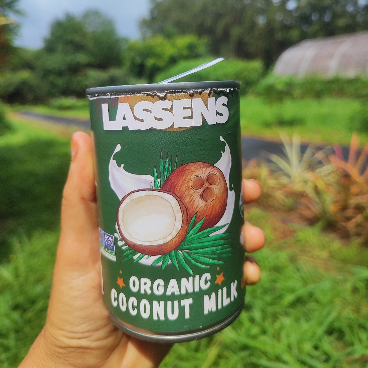 Organic Coconut Milk from Lassens - Vegan Product Reviews & Ratings ...