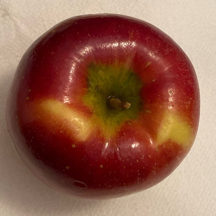 Samboa mela 🍎 Review | abillion