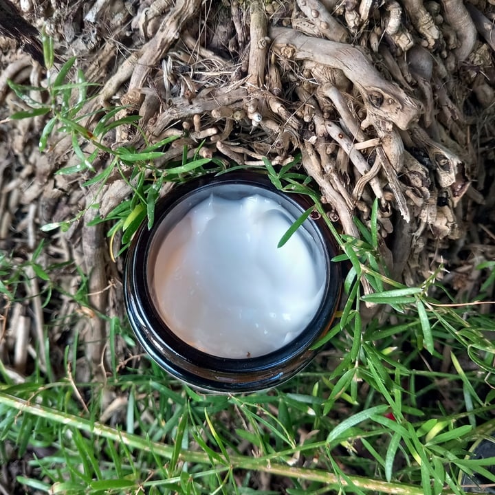 IDC Institute Beauty & Skincare Aloe Vera face cream Review | abillion