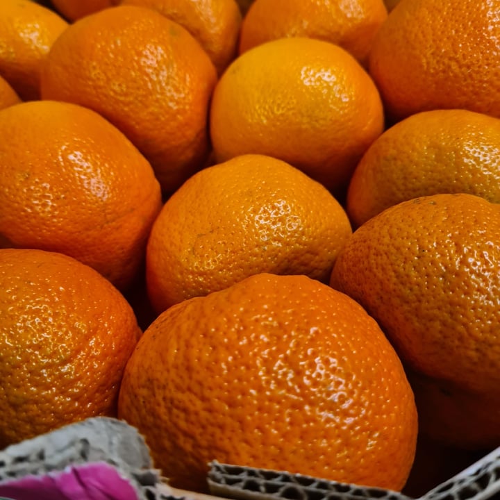 PLM Boerdery (EDMS) Bpk Mandarins Review | abillion