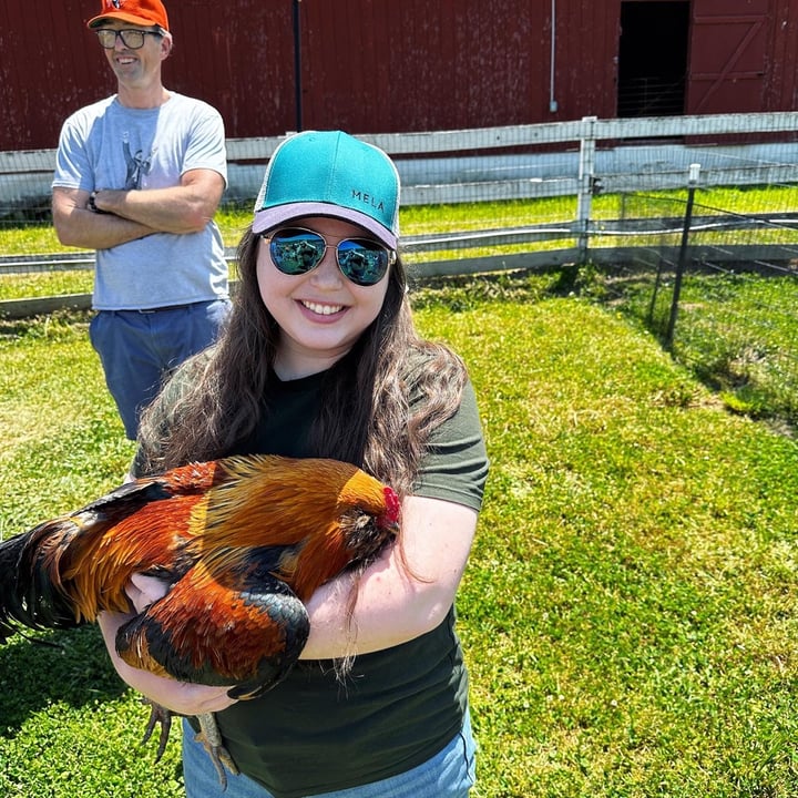 steph (@stephjc) | abillion