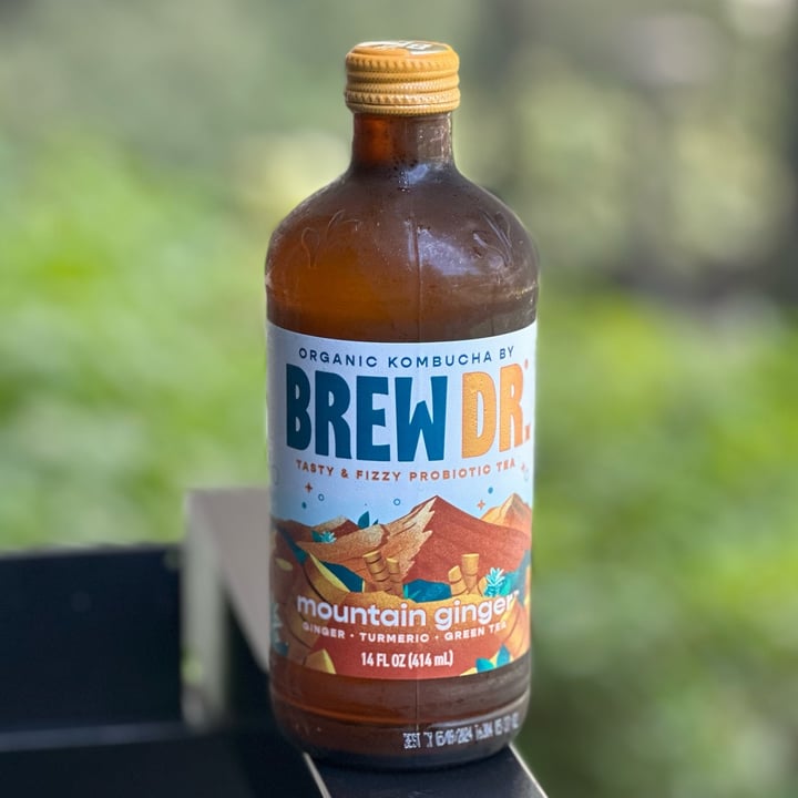 Brew Dr. Kombucha Mountain Ginger Review | abillion