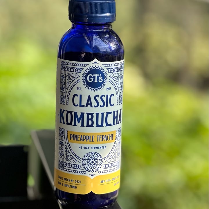 GT’s Living Foods Classic Kombucha Pineapple Tepache Review | abillion