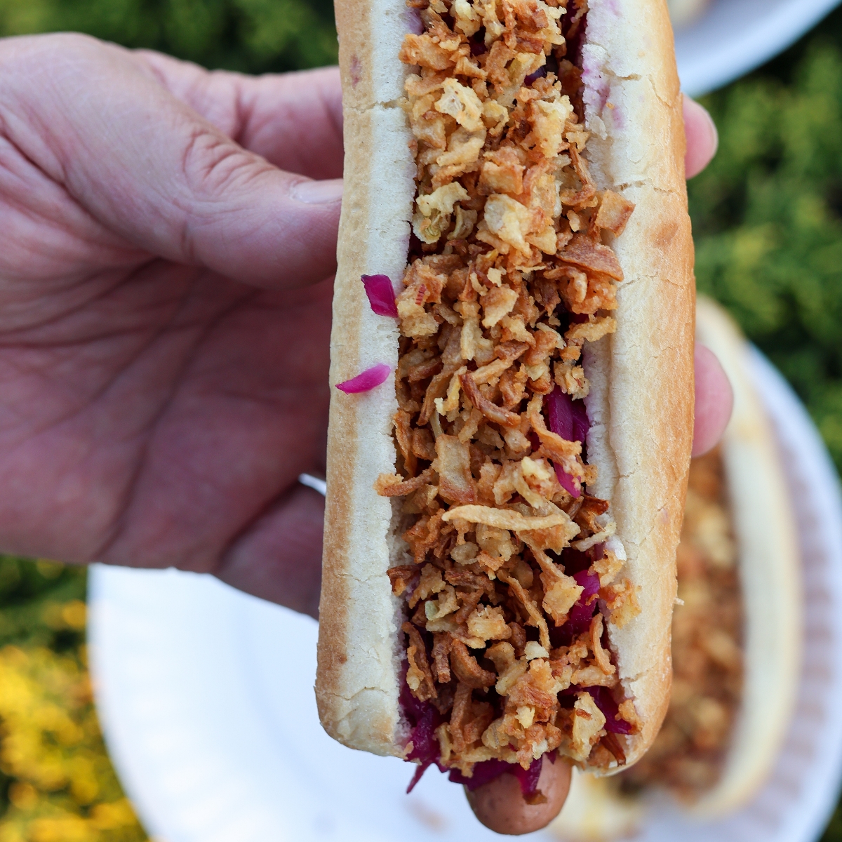 plant dog + Pickled Cabbage at IKEA Restaurant - Review by @lizmaselli ...