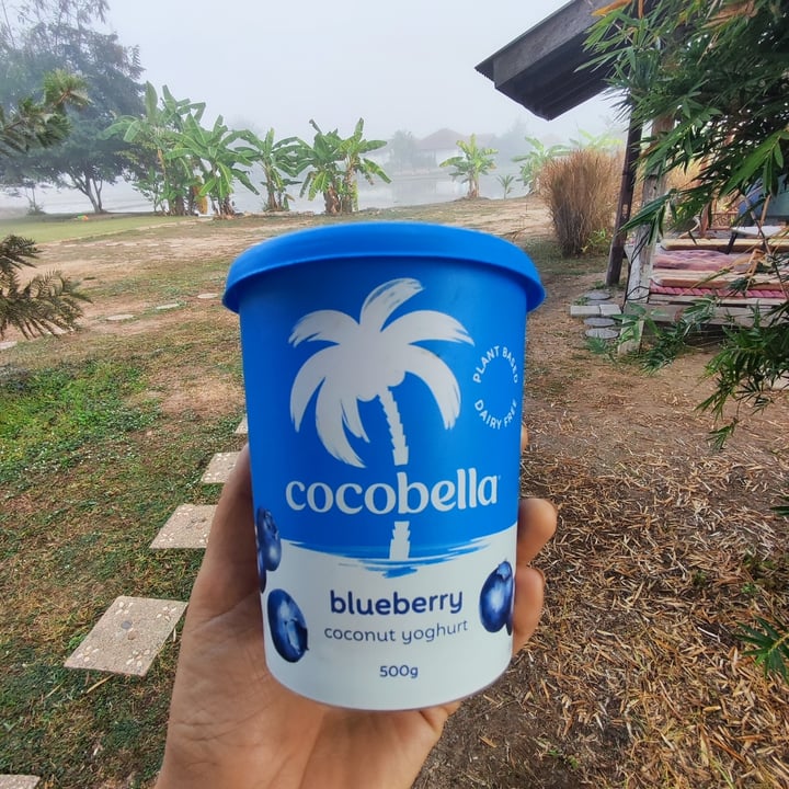 Cocobella Blueberry Coconut Yogurt Review | abillion