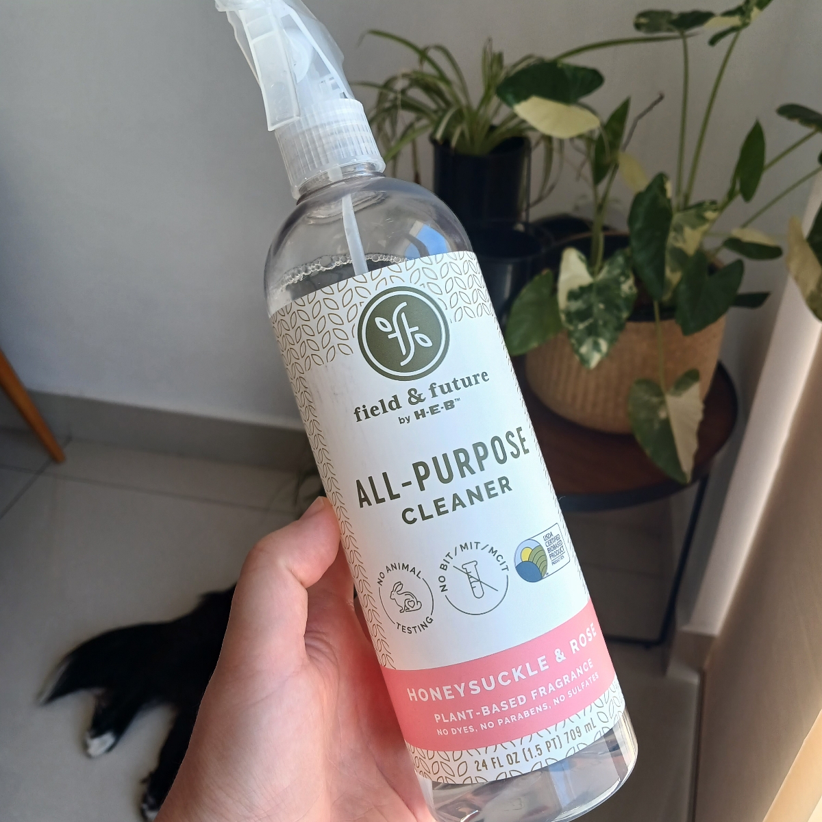 All-Propose Cleaner from Heb Field & Future - Vegan Product Reviews ...