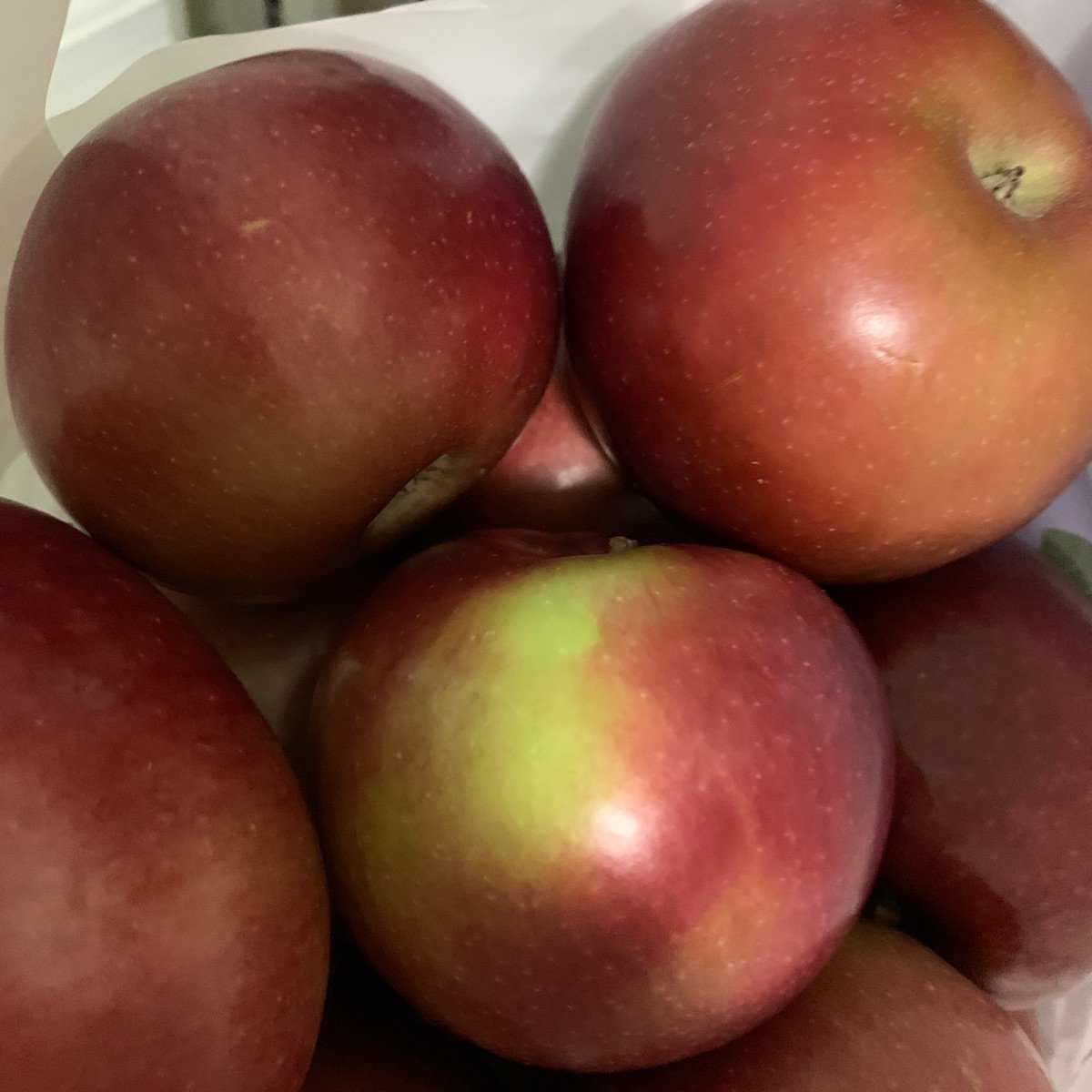 McIntosh Apples from Shansville Orchard - Vegan Product Reviews & Ratings | abillion
