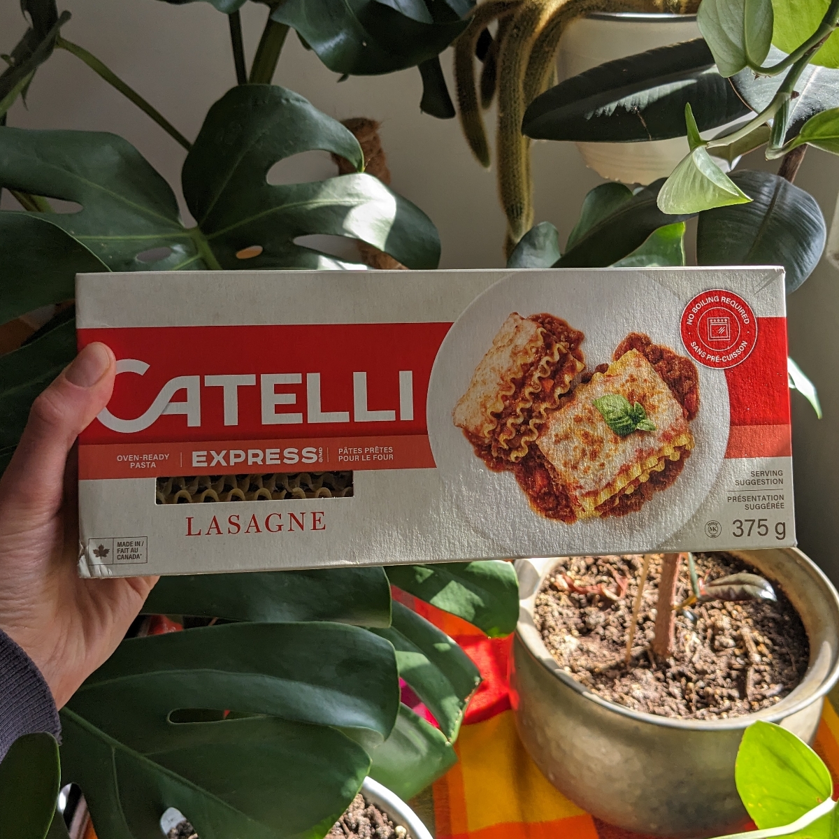 Express Lasagne Pasta from Catelli - Vegan Product Reviews & Ratings ...