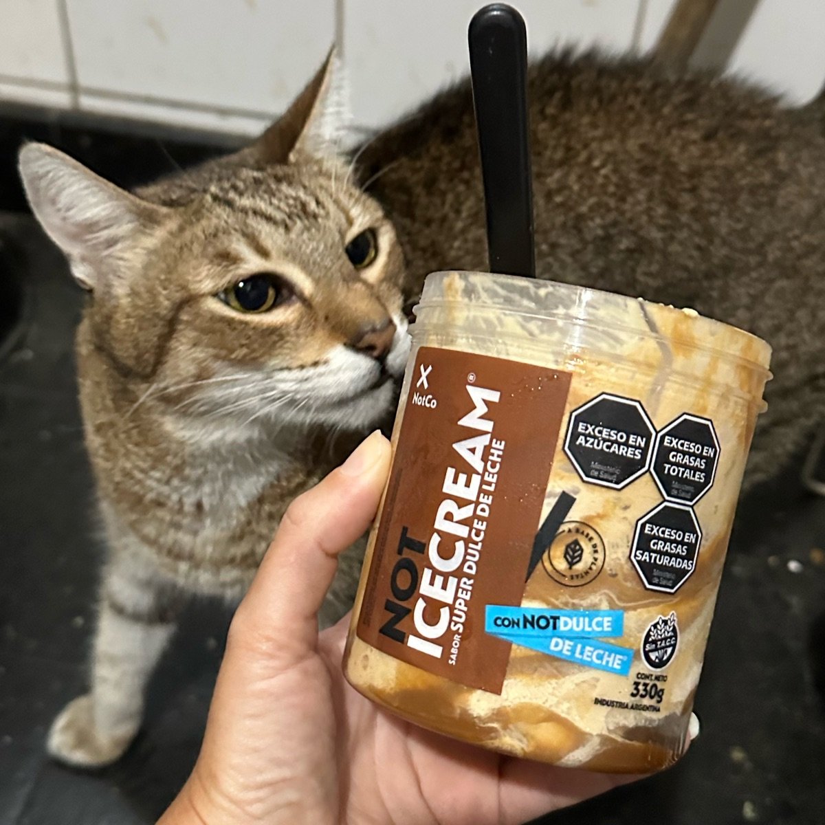 not ice cream super dulce de leche from Not Co - Vegan Product Reviews ...