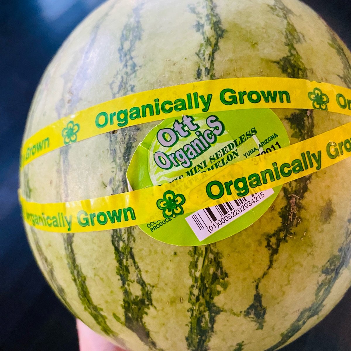 Organic Mini Seedless Watermelon from Ott Organics - Vegan Product ...