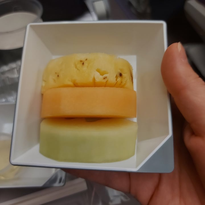 Malaysia Airlines Vegetarian Vegan Meal (VGML) Review | abillion