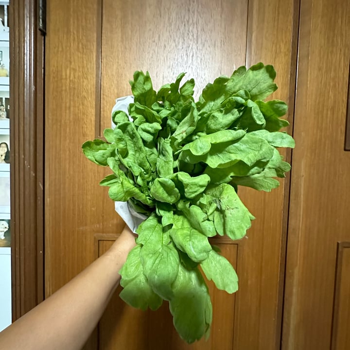 Kok Fah Farm Tang Oh Review | abillion