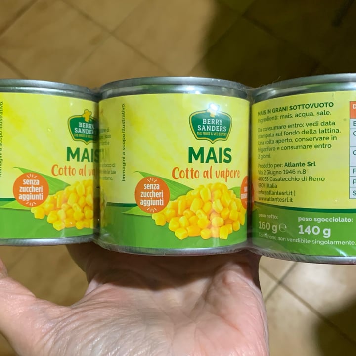 Berry Sanders MAIS Cotto Al Vapore Review | abillion