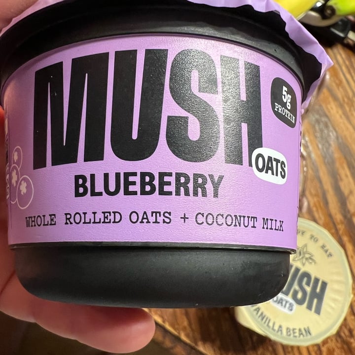 Mush Oats Blueberry Review | abillion