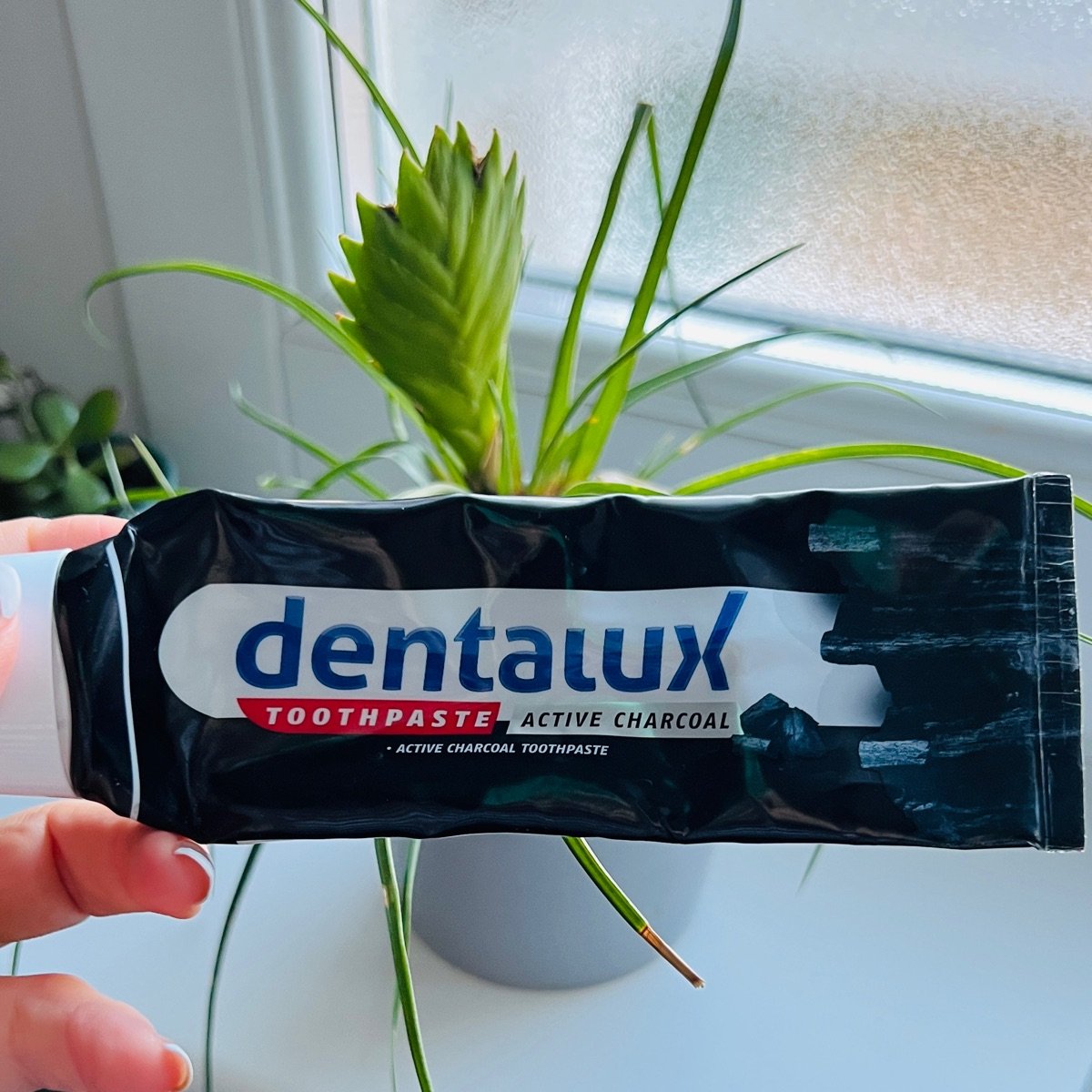 active charcoal toothpaste from Dentalux - Vegan Product Reviews ...