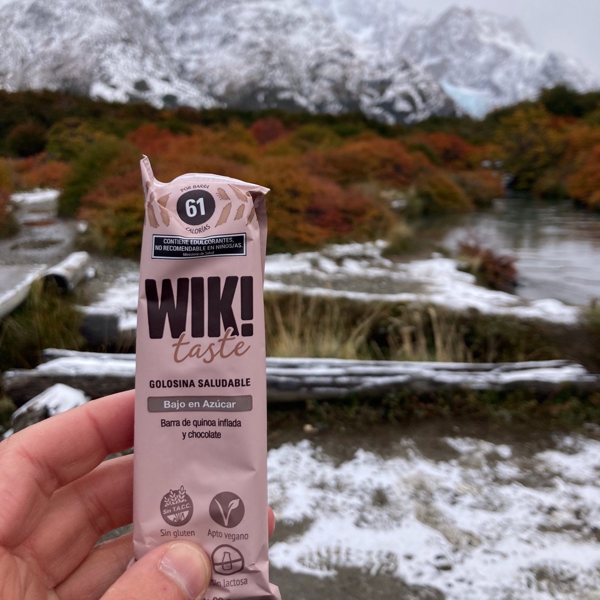 Barra de quinoa inflada y chocolate from Wik! - Vegan Product Reviews ...
