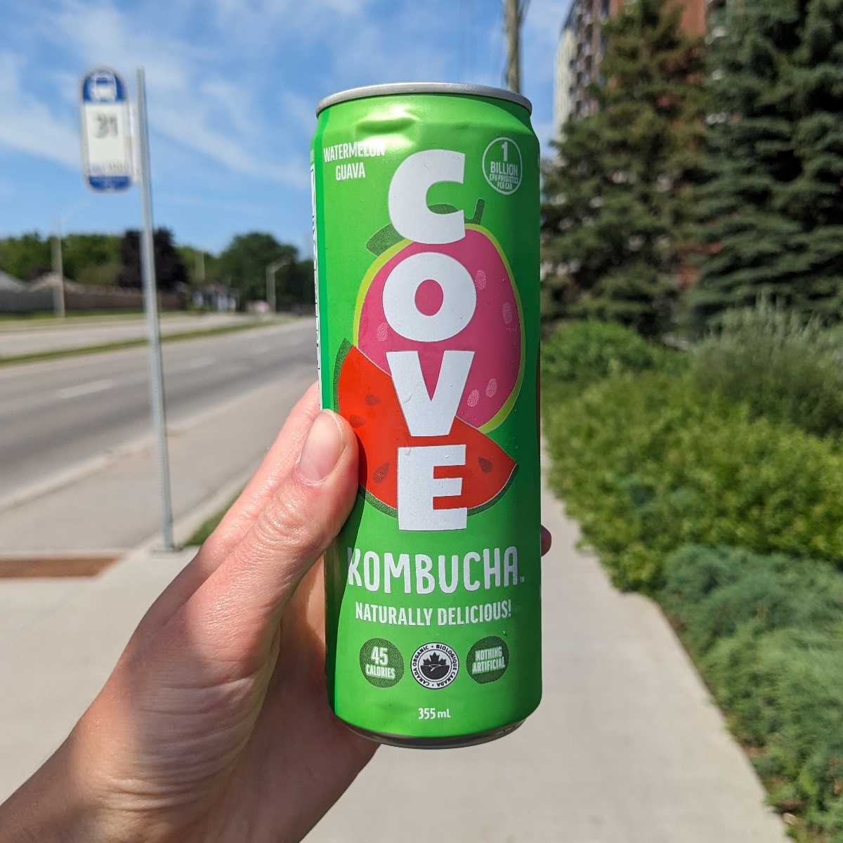Watermelon Guava Kombucha from Cove - Vegan Product Reviews & Ratings ...