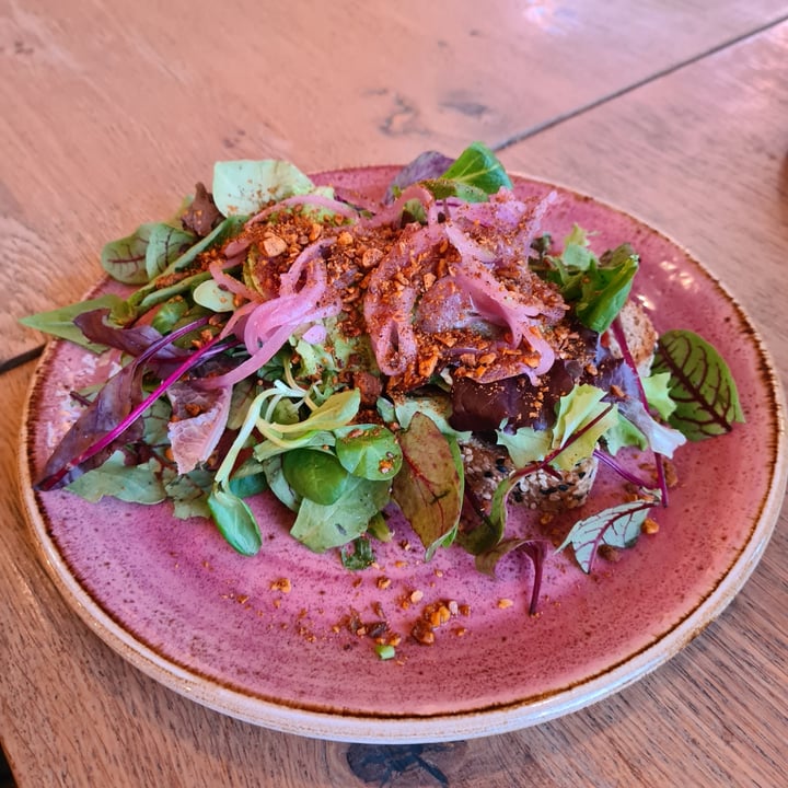 The Breakfast Club Amsterdam-Centrum, Amsterdam, Netherlands avocado ...