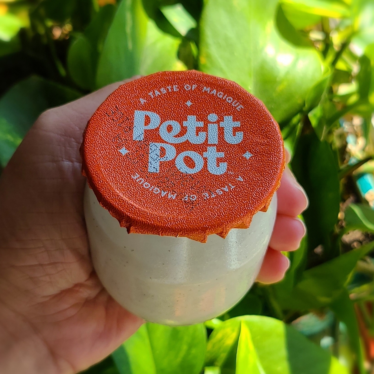 rice pudding organic plant based dessert from Petit Pot - Vegan Product Reviews & Ratings | abillion