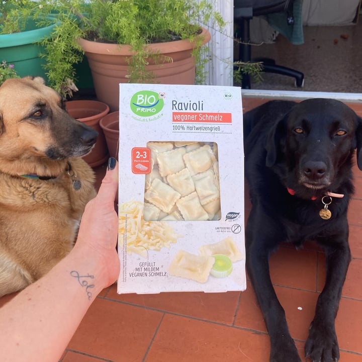 BIO primo Ravioli veganer Schmelz Review | abillion