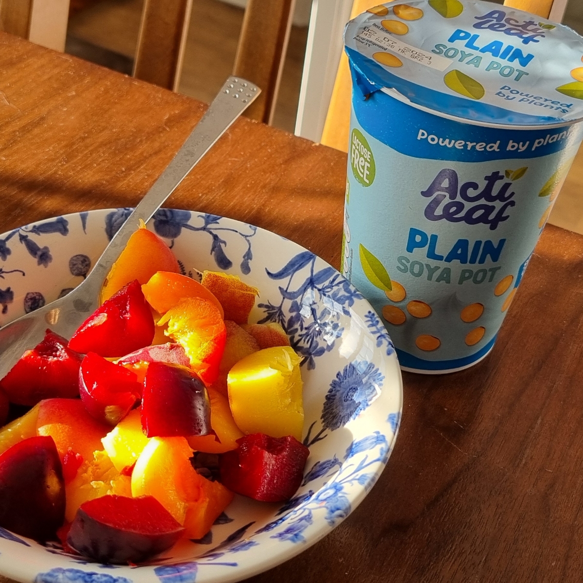 Acti Leaf Plain Soya Pot Reviews | abillion