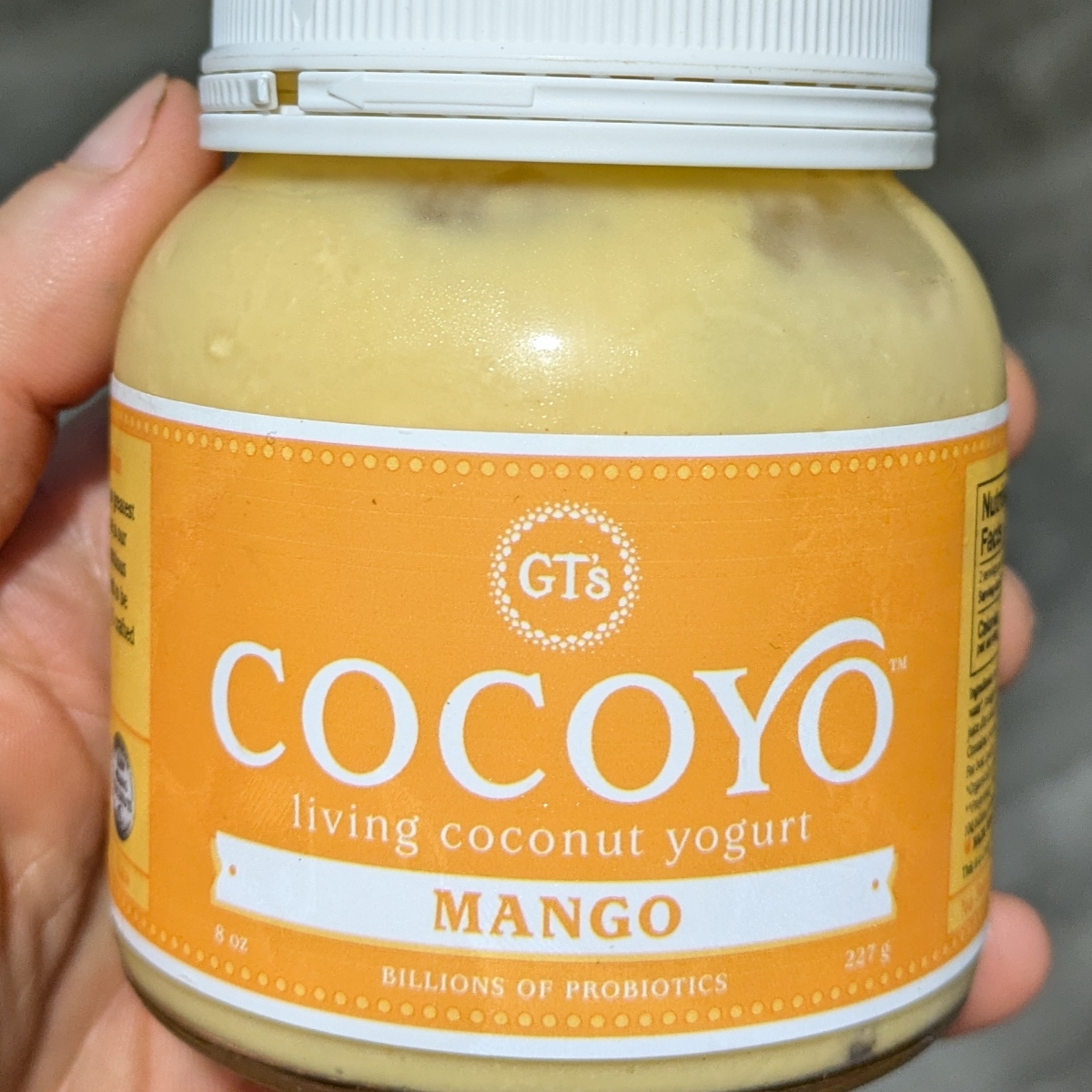 Cocoyo mango Probiotic Yogurt from GT’s Living Foods - Vegan Product ...
