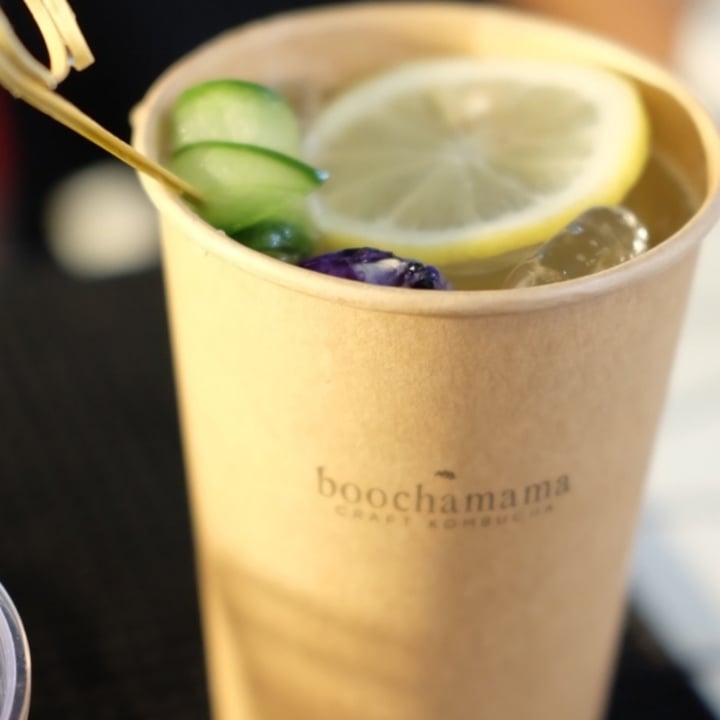 boocha mama Cucumber Lychee Kombucha Review | abillion