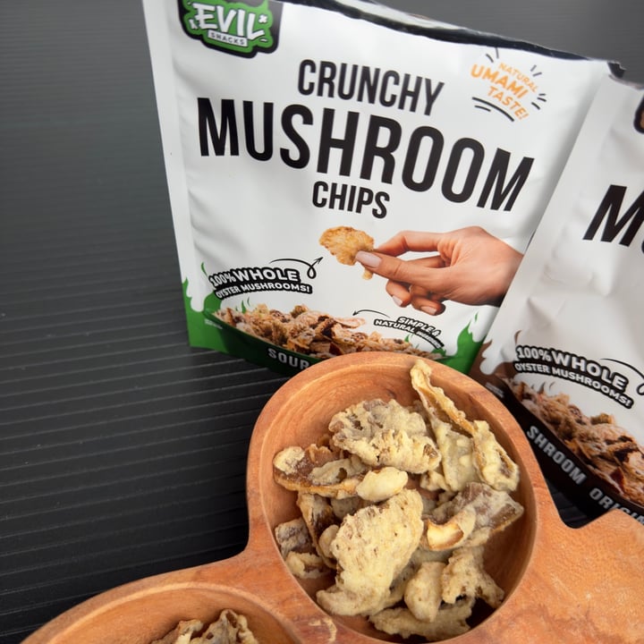 EVIL SNACKS Sour Cream Crunchy Mushroom Chips Review | abillion