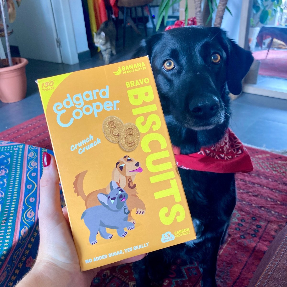 Banana Peanut Butter Bravo biscuits from Edgard Cooper - Vegan Product ...