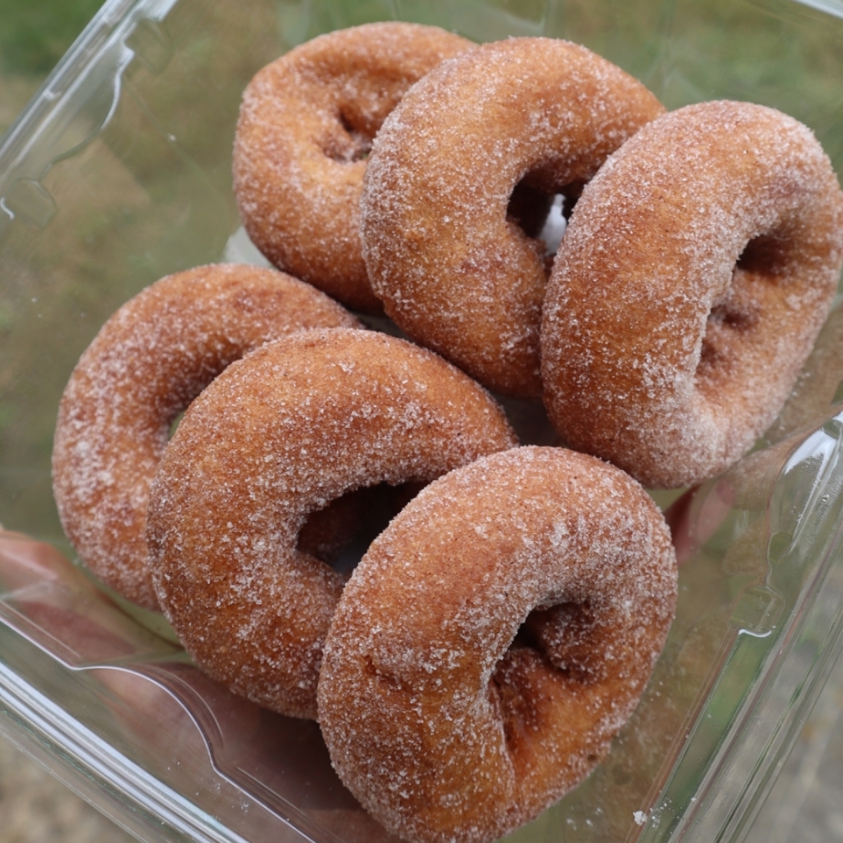 Apple Cider Donuts from Whole Foods bakery - Vegan Product Reviews ...