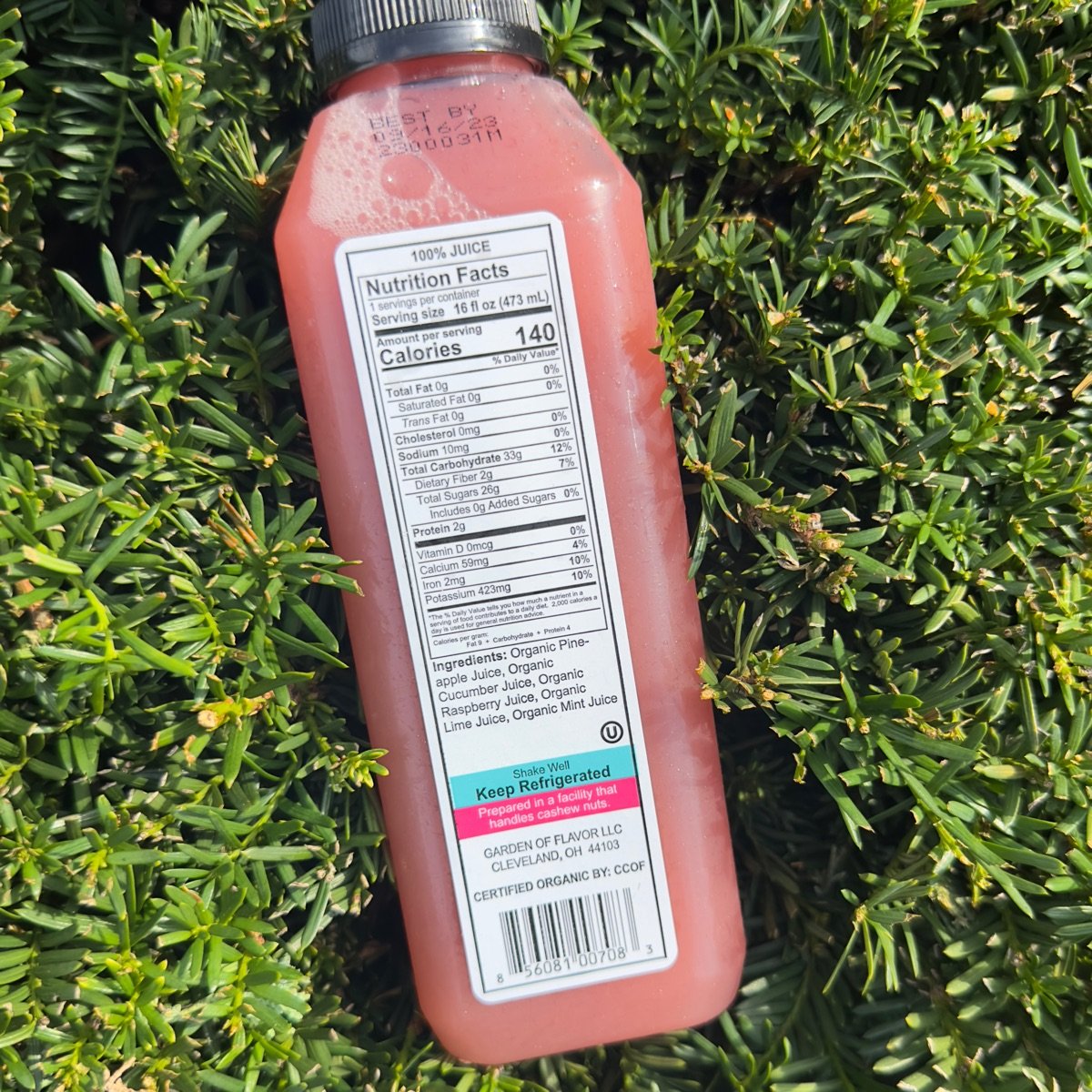 Raspberry Mint Kiss Cold Pressed Juice from Garden of Flavor - Vegan ...