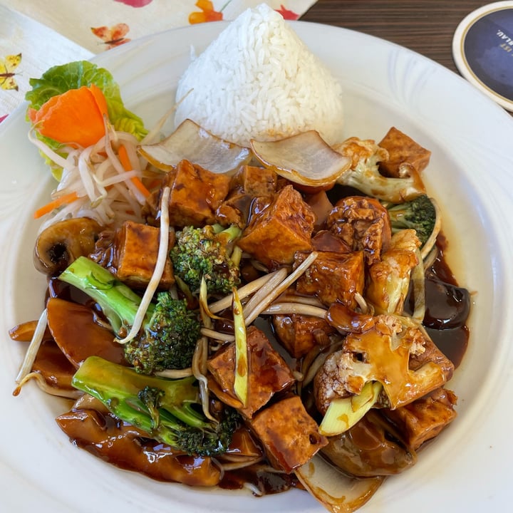 Asia Bistro Brome, Germany Gebratener Tofu mit Gemüse Review | abillion