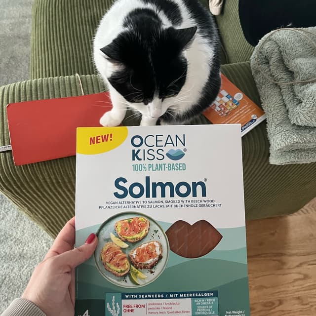 Solmon at Ocean kiss - Review by @pattini | abillion
