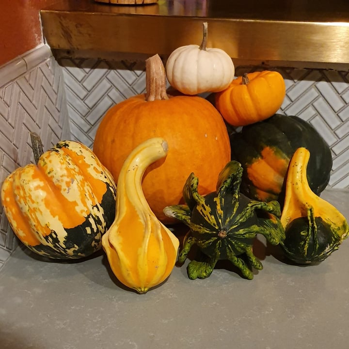 Bella Organic Farm Portland, United States Acorn Squash Review | abillion