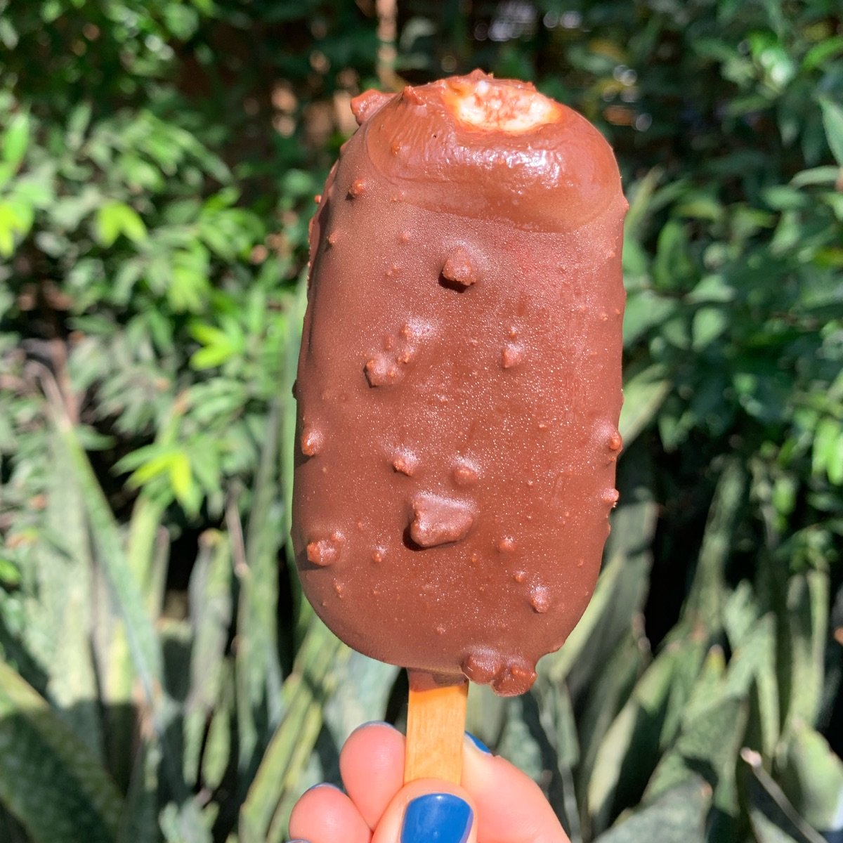 Biscoff Cookie from Peace pops - Vegan Product Reviews & Ratings | abillion