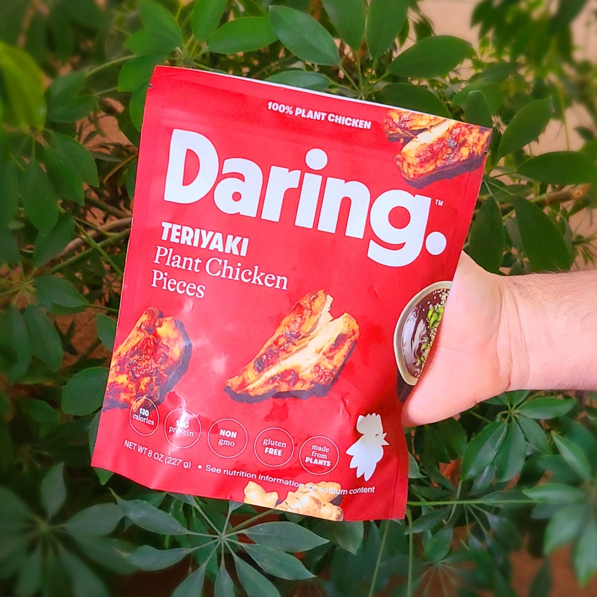 Teriyaki Plant Chicken Pieces from Daring - Vegan Product Reviews ...